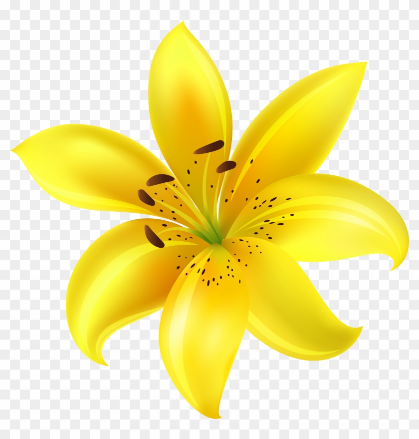 Yellow Flower Clip Art Image - Png Download (#1656348) - PikPng