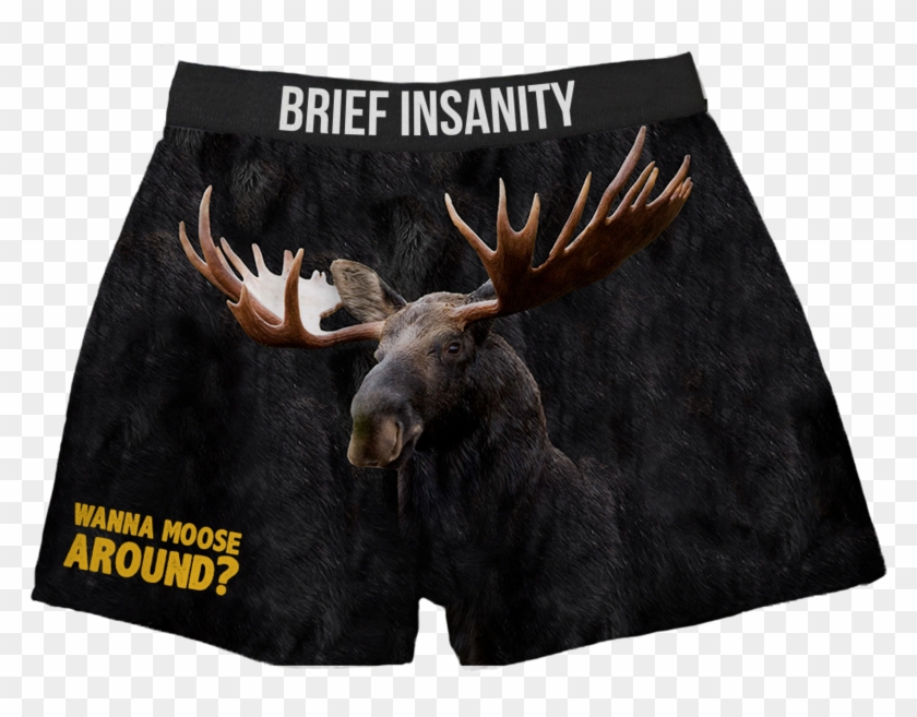 Moose Boxer Shorts Wanna Moose Around Clipart (#1748568) - PikPng