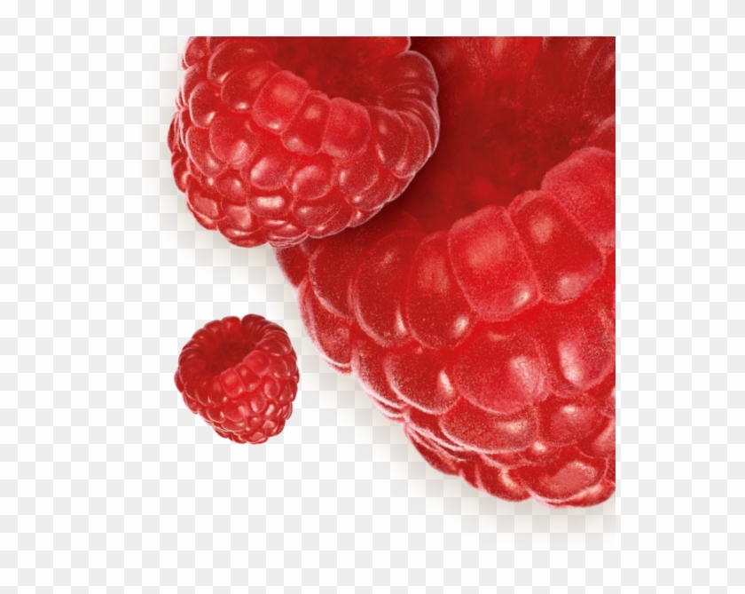 Raspberry Clipart (#1856402) - PikPng