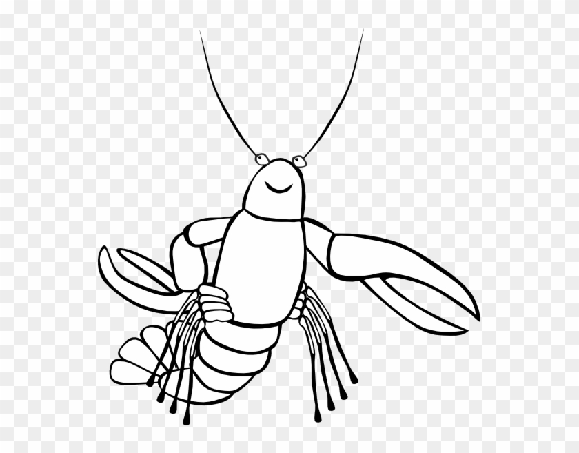 Gerald G Crawfish 1 555px 62 - Crawfish Clip Art - Png Download ...