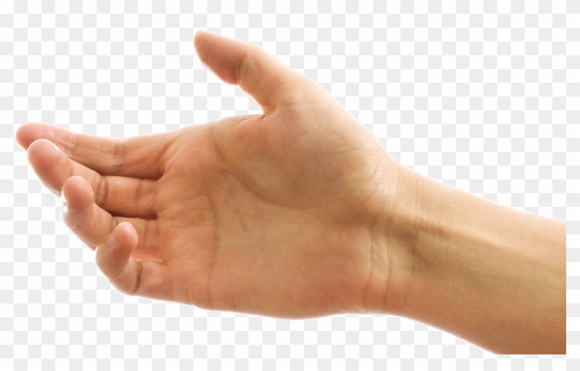 Download Hands Png Images, Pictures Download, Hand - Hand Png Clipart ...