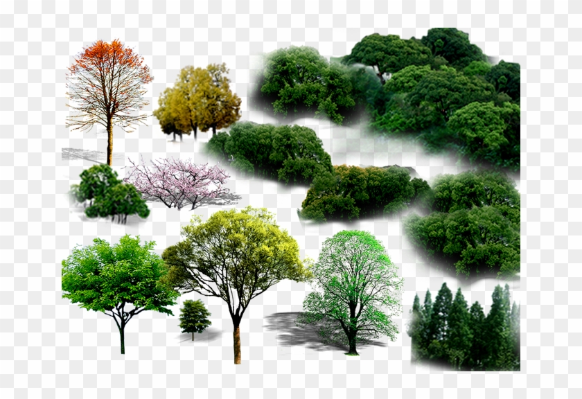 Tree Png File Hd - Trees Landscape Psd Clipart (#1997608) - PikPng