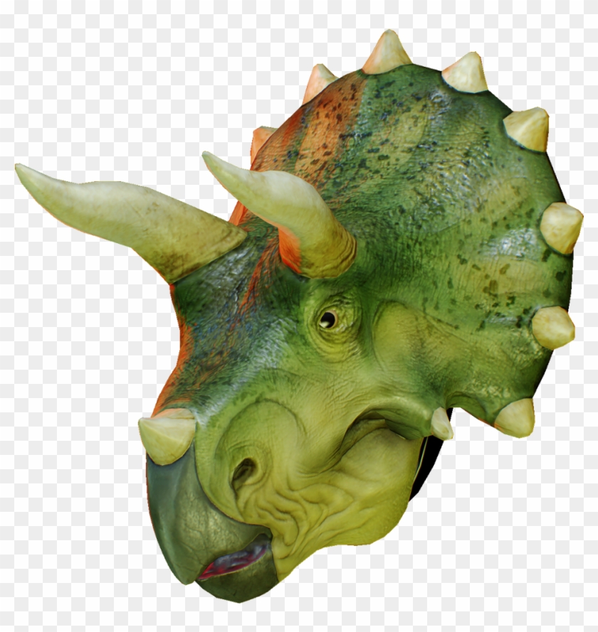 Triceratops Head