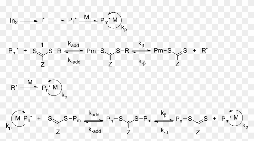 File - Raft - Reversible Addition Fragmentation Chain Transfer ...