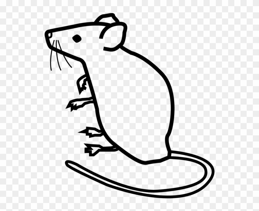 Mouse - Line Art Clipart (#2106457) - PikPng