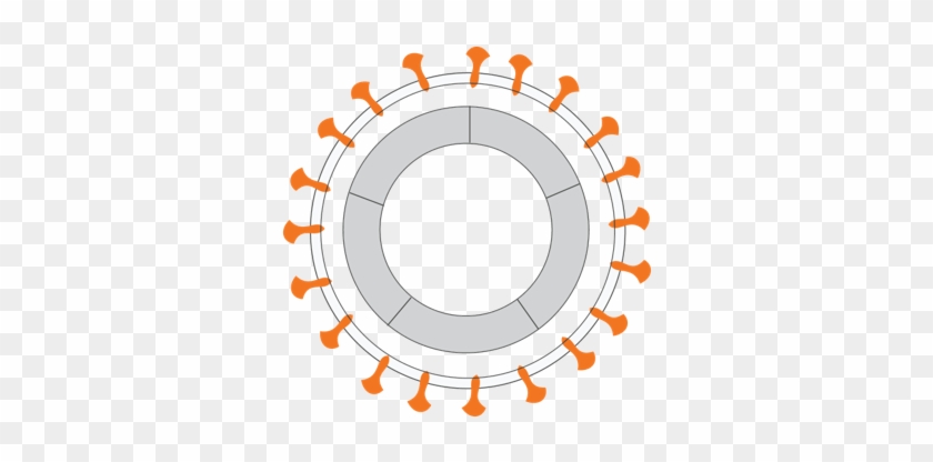 Electron Microscopy Image Of Vbi's Cmv Vaccine Candidate, - Tracteur ...
