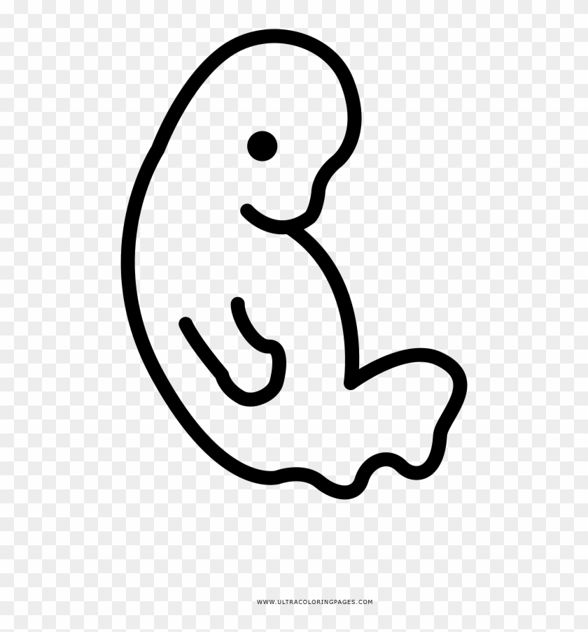 Embryo Coloring Page - Line Art Clipart (#2160617) - PikPng