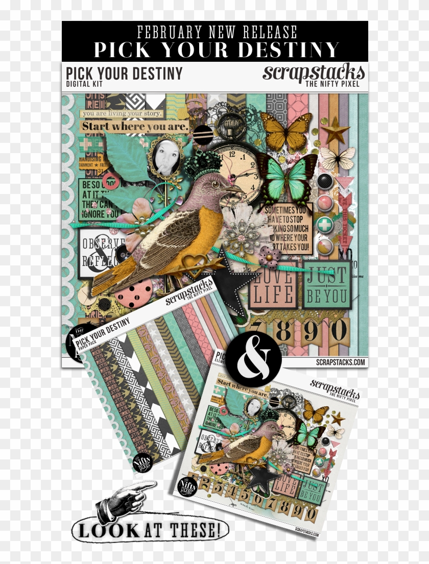 Download The Nifty Pixel - Free Collage Sheets Clipart Png Download ...