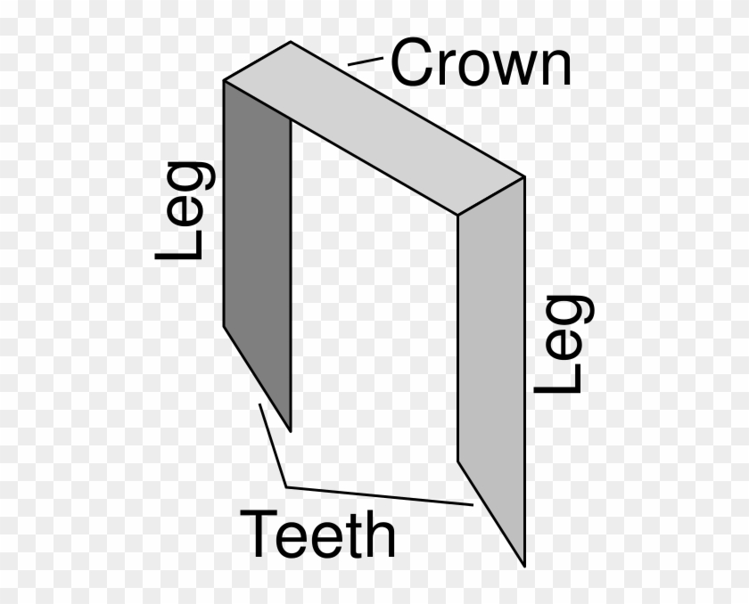 Download Basic Staple Diagram Clipart Png Download - PikPng
