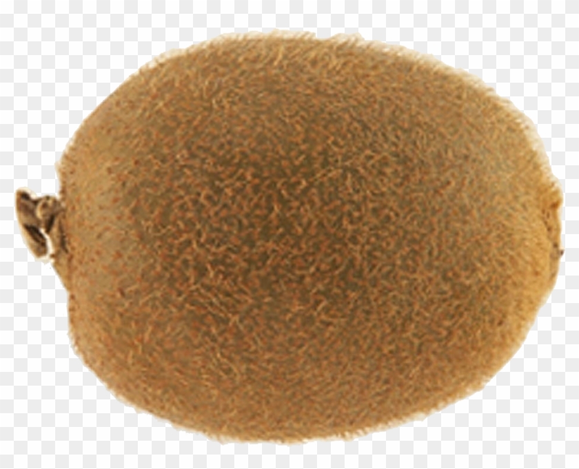 Kiwi Png Free Download - Single Kiwi Fruit Clipart (#231089) - PikPng