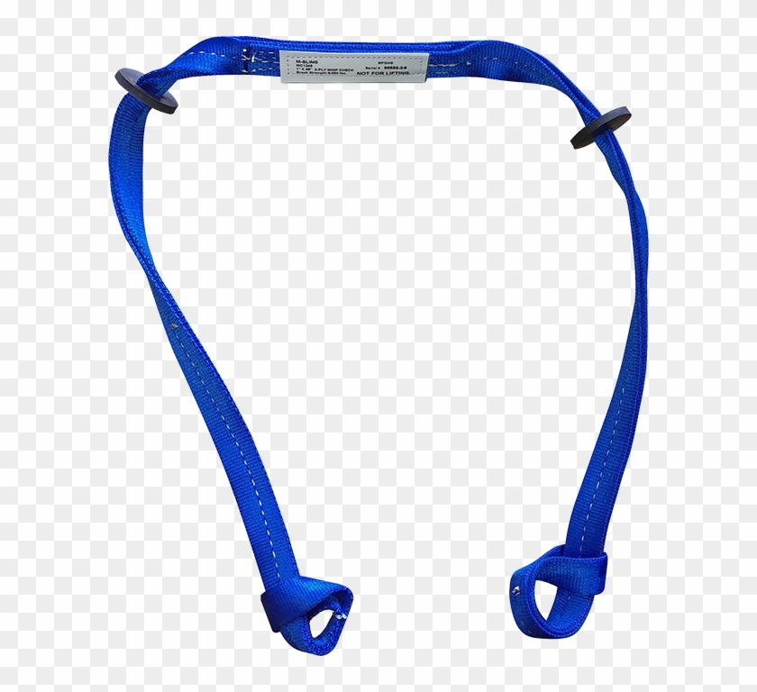 Whip Check - Whip Checks Clipart (#239970) - PikPng