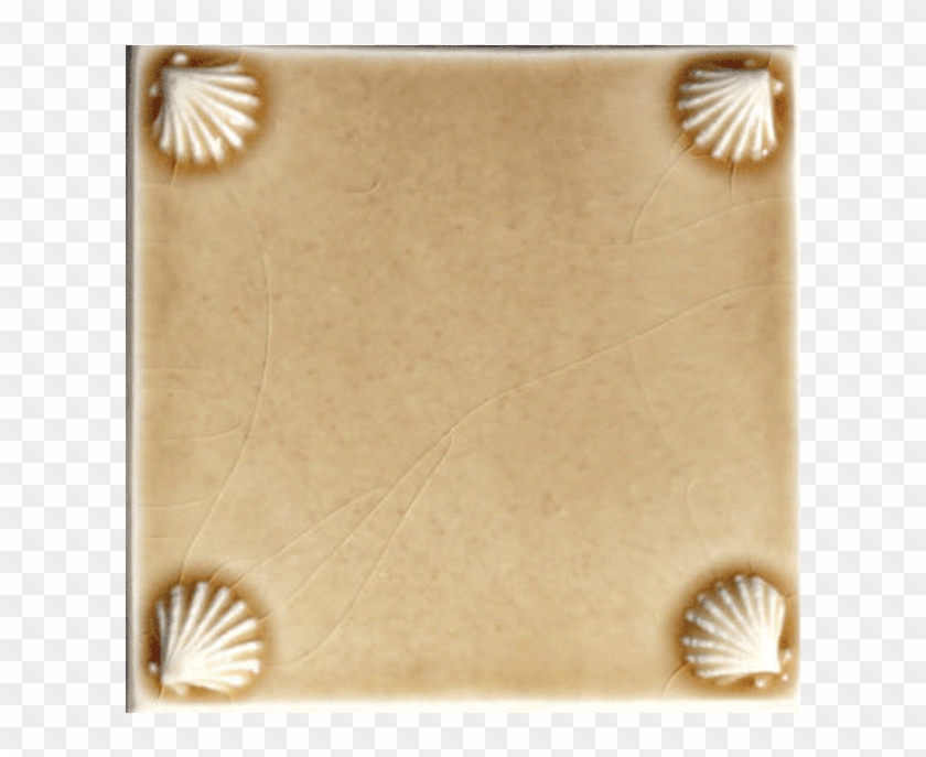 Download 447 Scallop Corner - Shell Clipart Png Download - PikPng