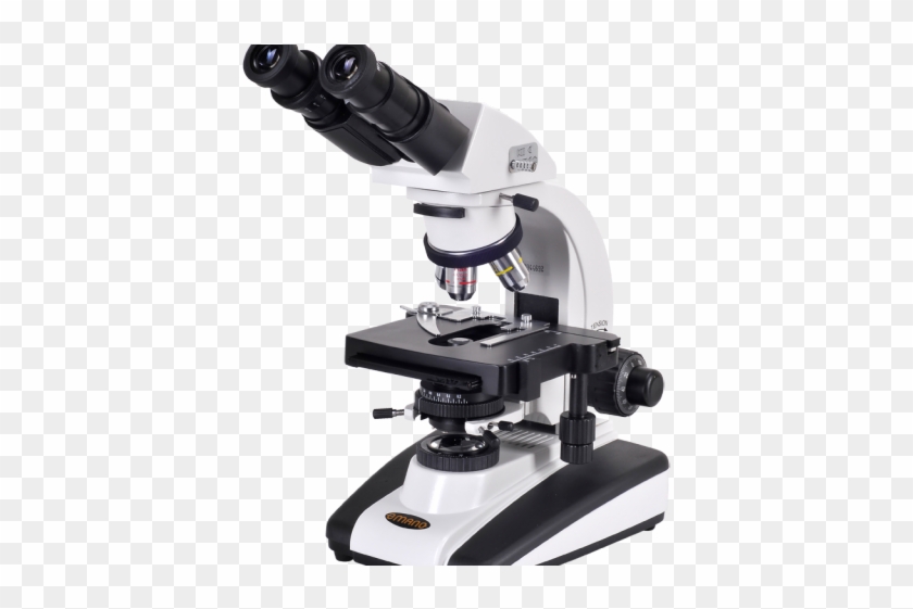 Microscope Png Transparent Images - Love In Plants Chart Clipart ...