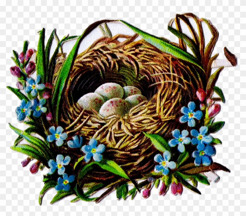 Nest Clipart Nesting - Clip Art - Png Download (#2377887) - PikPng