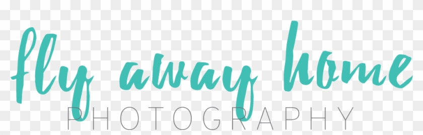Fly Away Home Photography - Calligraphy Clipart (#2380237) - PikPng