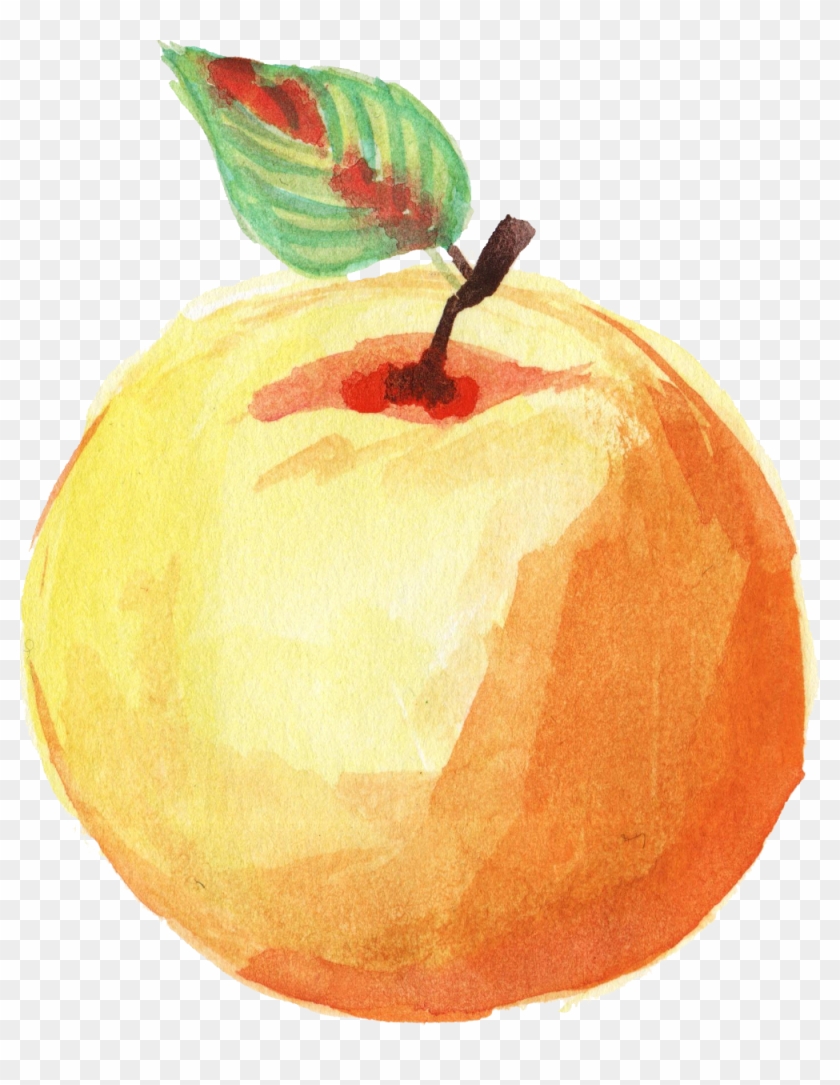 Clip Freeuse Apple Png Onlygfx Com Free Download - Orange Fruit ...