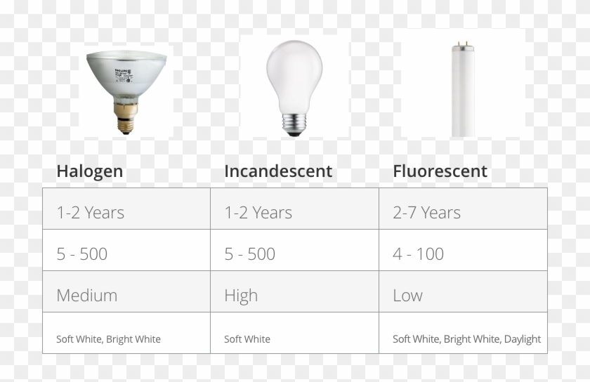 Types Of Bulbs Chart - Fluorescent Lamp Clipart (#2642040) - PikPng
