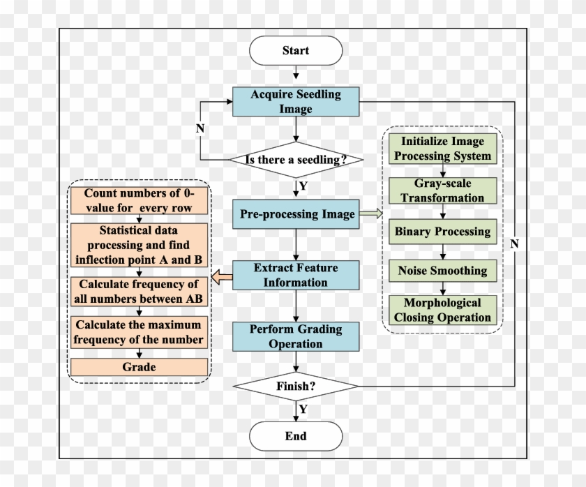 Flow Chart Of Seedling Grading Procedure - Flow Chart For Grading ...