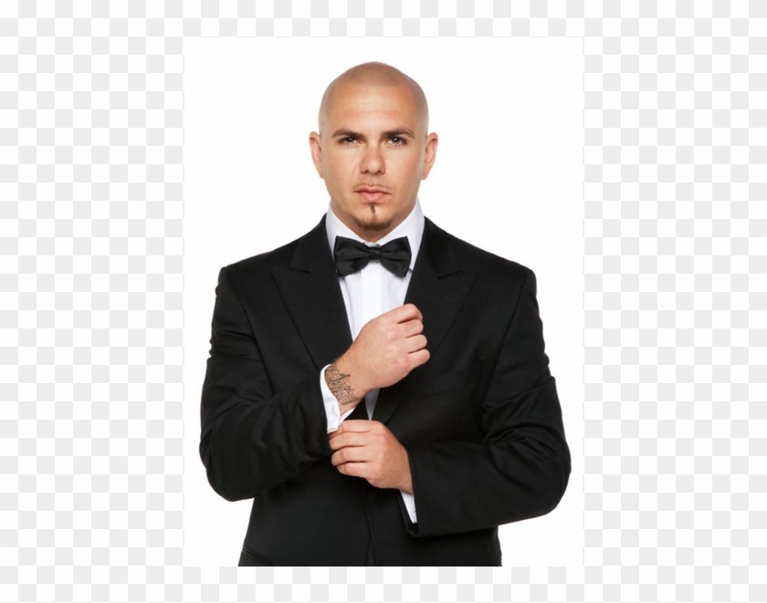 Florida House Files Lawsuit Transparent Background - Pitbull Singer T ...
