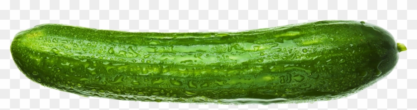 Download Cucumber Png Image - Cucumber With No Background Clipart Png ...