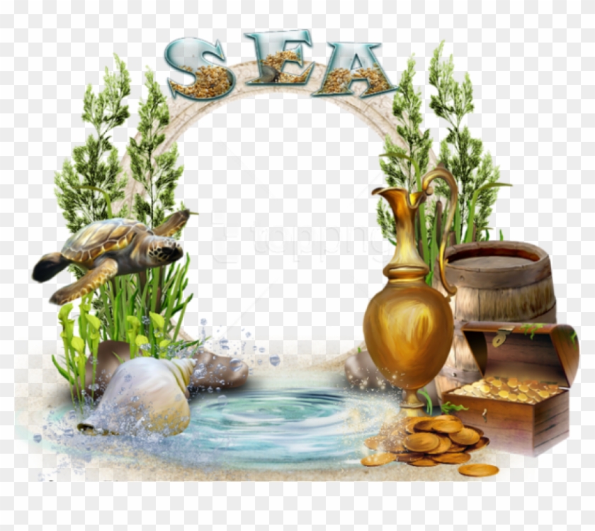 Free Png Sea Transparent Frame With Turtle Background - Sea Photo Frame ...