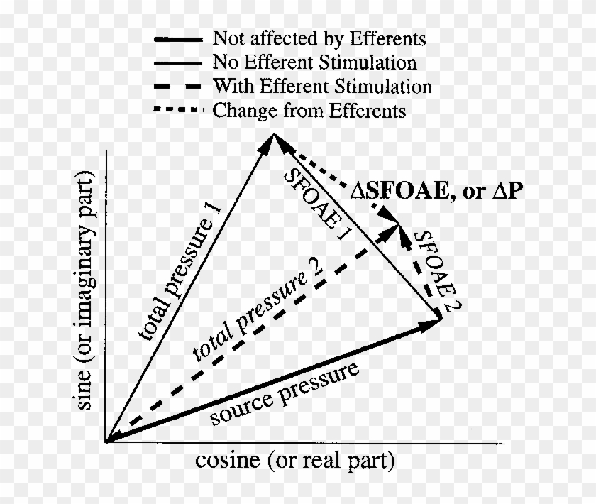 Download A Vector Diagram Showing That The Total Ear-canal Sound ...