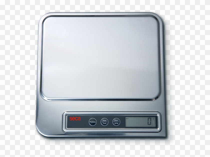 Electronic Organ And Diaper Scales With Stainless Steel - Seca 856 ...