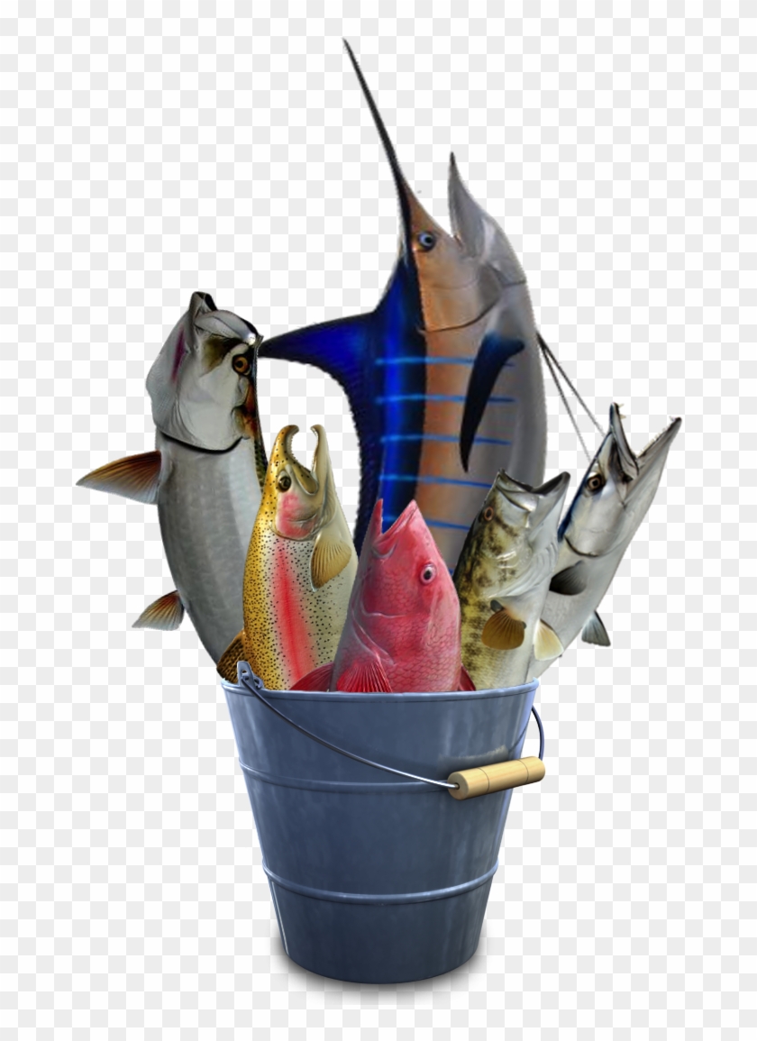 Bucket O Fish - Bucket Icon Clipart (#281952) - PikPng