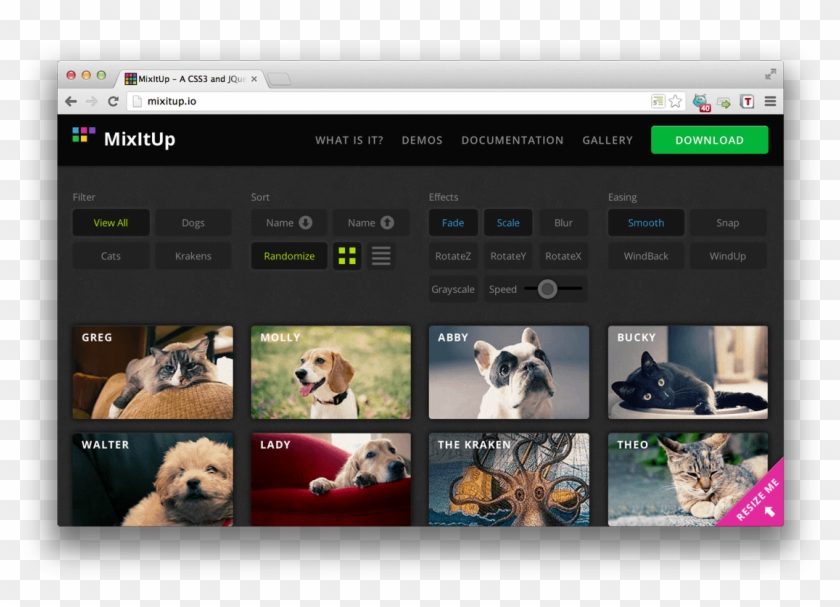 Download Mixitup A Css3 And Jquery Filter & Sort Plugin - Jquery ... Download Mixitup A Css3 And Jquery Filter & Sort Plugin - Jquery ...