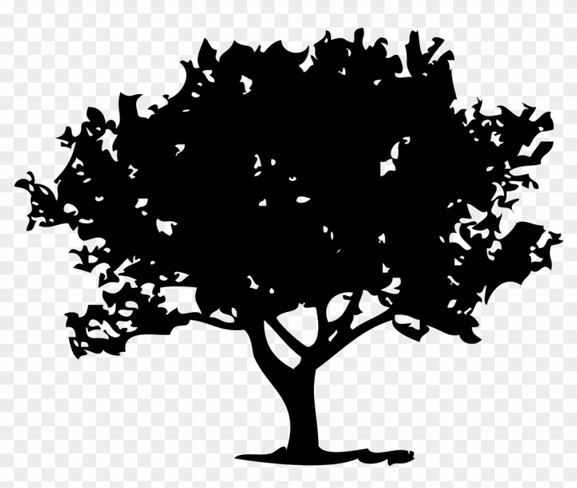 Fig Tree Marketplace Site Icon - Fig Tree Silhouette Png Clipart ...