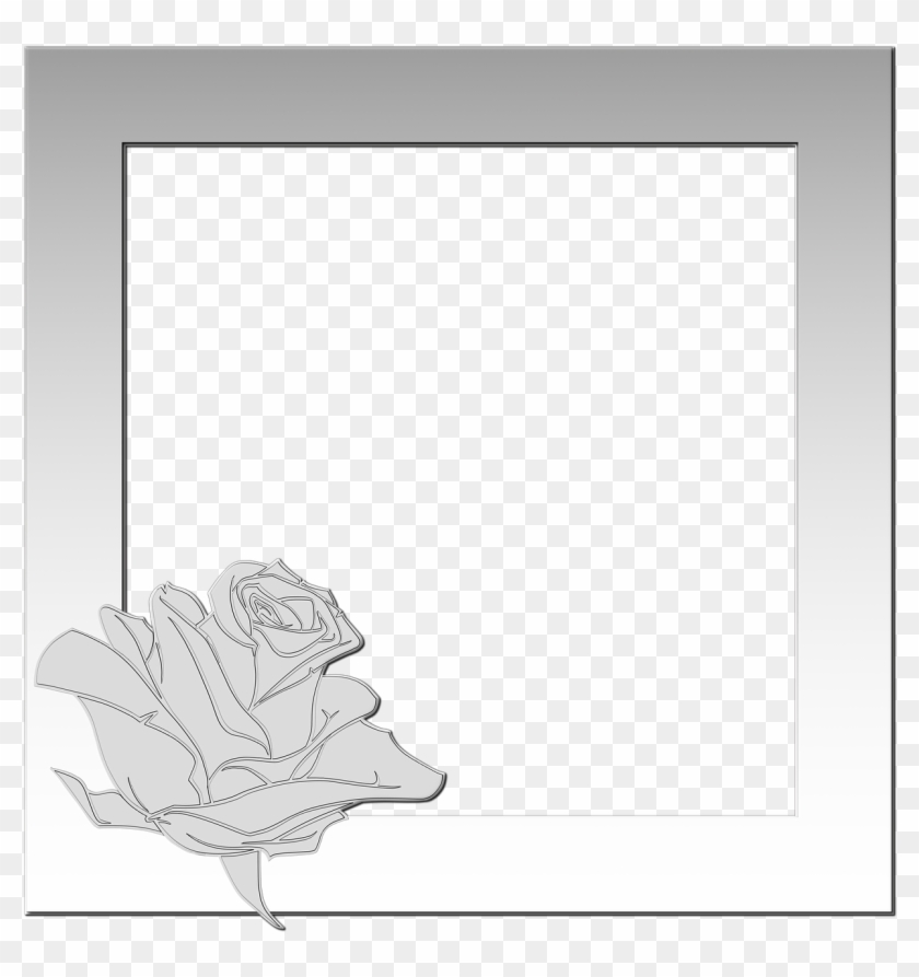 Photo Frame Photo Album Silver Png Image - Floral Design Clipart ...