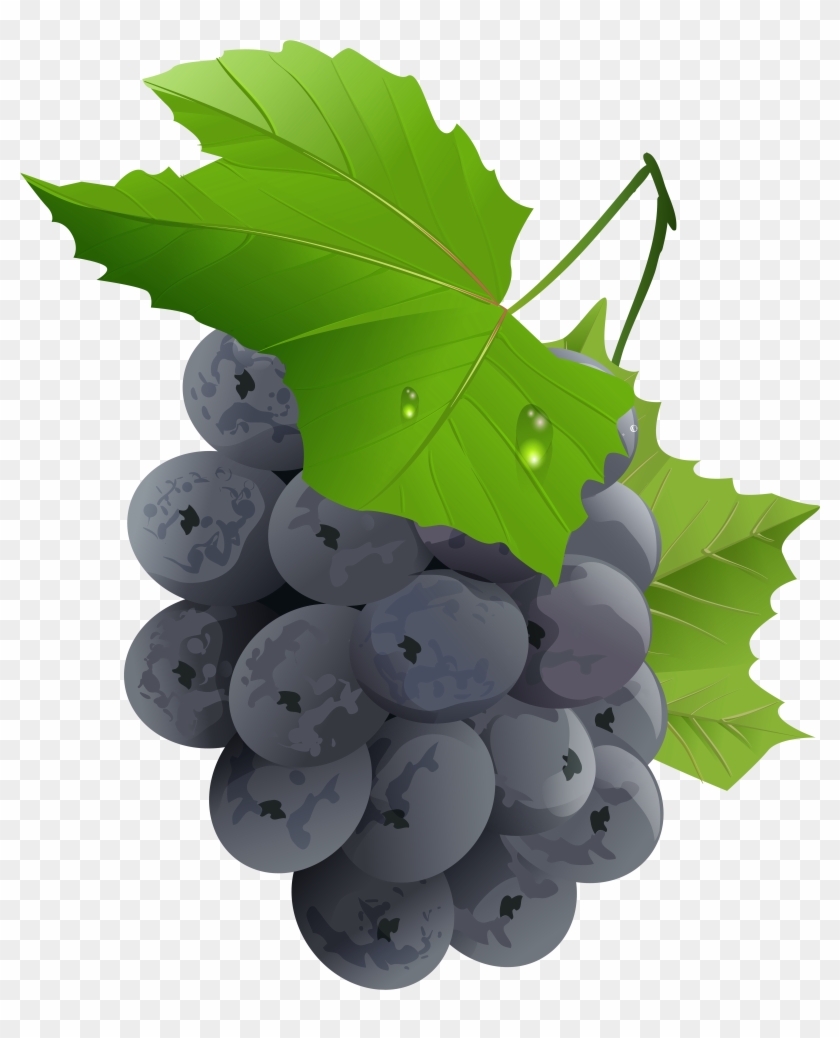 Grapes Transparent Png Clip Art Image (#2850237) - PikPng