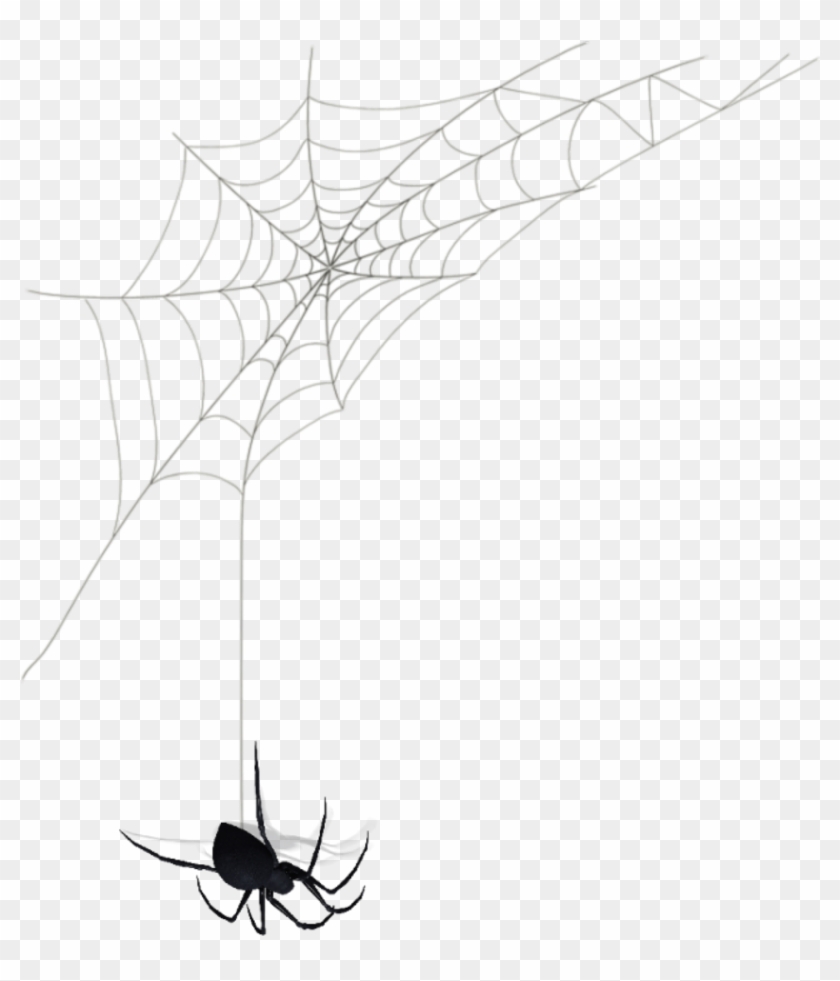 Download Cobweb Sticker - Black Widow Clipart Png Download - PikPng