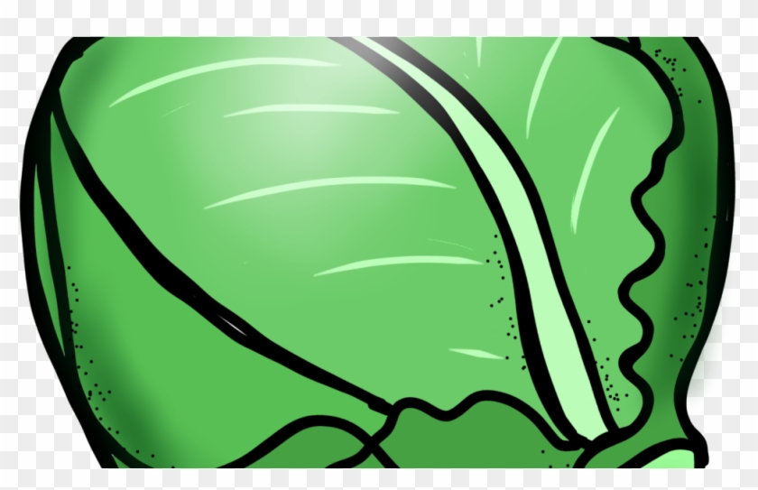 Green Cabbage Clip Art - Png Download (#2895289) - PikPng