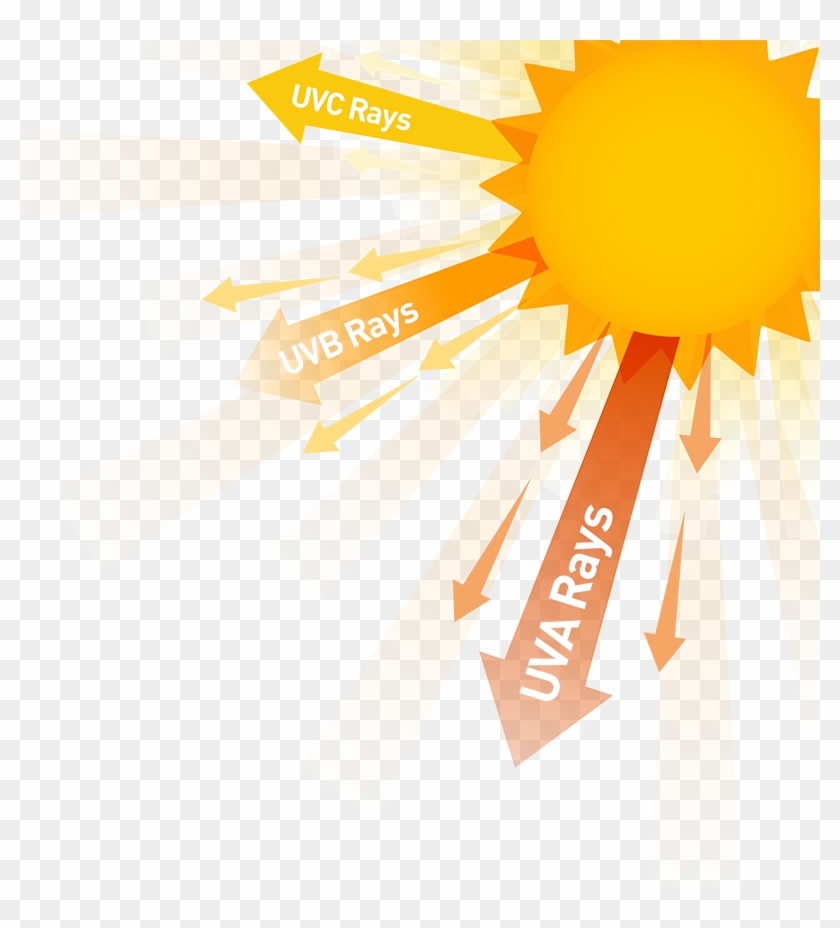 Download Sunlight Clipart Sun Exposure - Uv Rays - Png Download Png ...