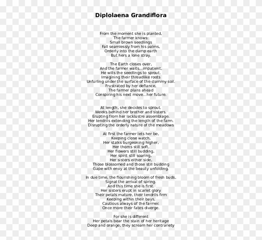 Marian Devotion - Light Menu For Lunch Clipart (#3034155) - PikPng