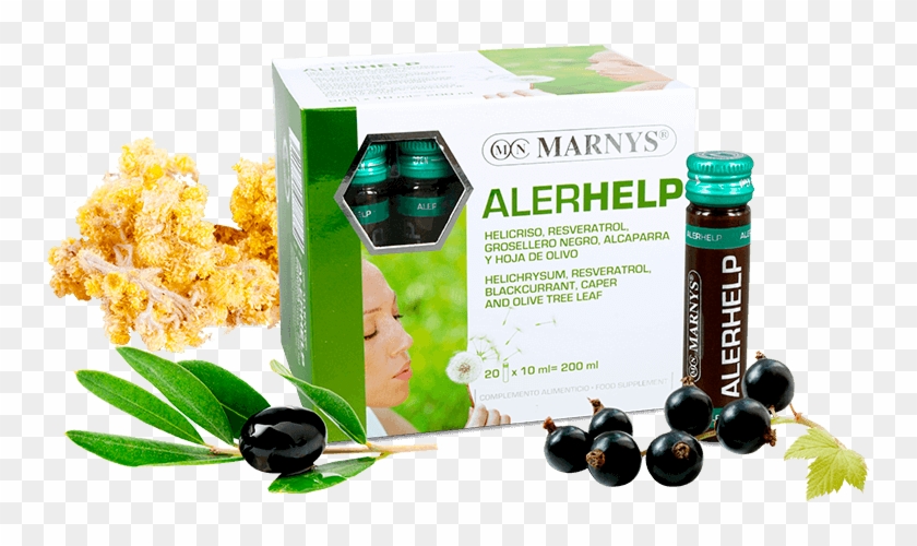 Alerhelp Marnys Clipart (#3048259) - PikPng