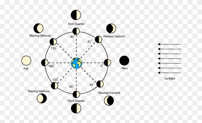 Moon Phases Diagram Project