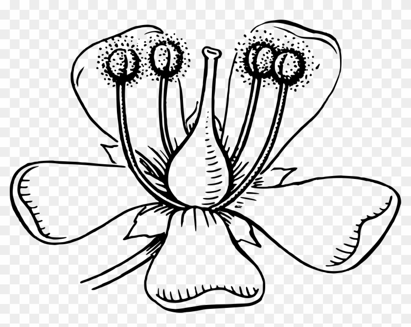 Download This Free Icons Png Design Of Flower 78 - Pollen Grain Clipart ...