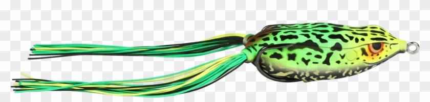 Spro Continues Support Of The 2019 Bass Pro Shops Collegiate - Frog ...