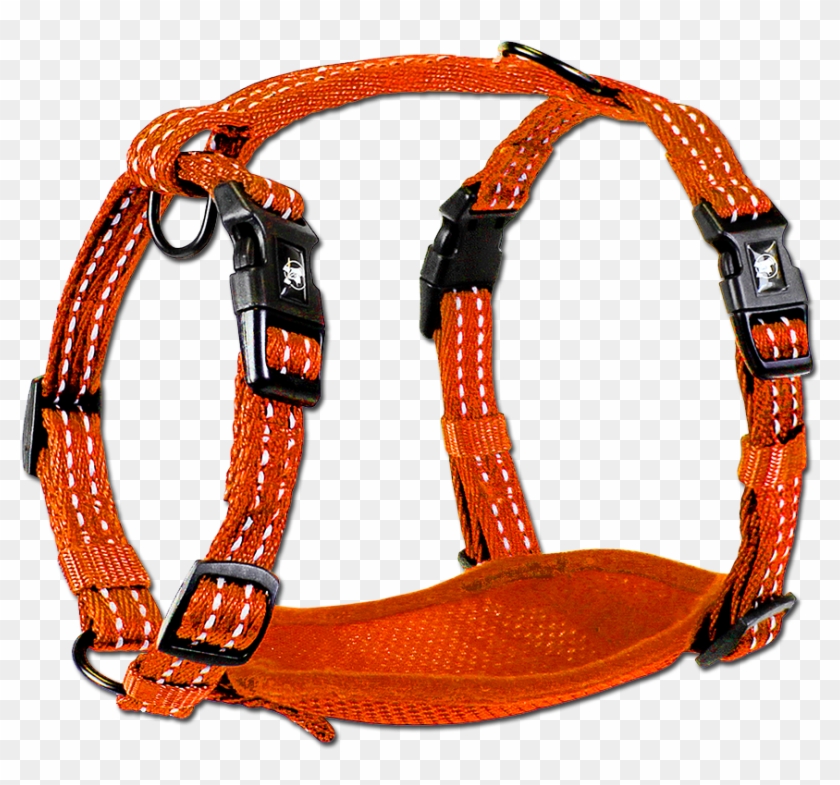 Harness Png Transparent Background - Alcott Essentials Adventure ...