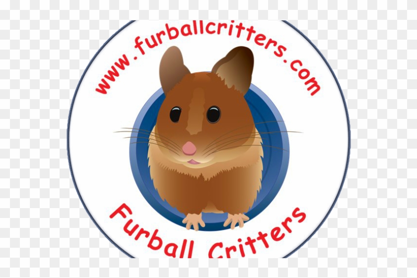Download Hamster Clipart Dwarf Hamster - Logo Hamsters - Png Download ...