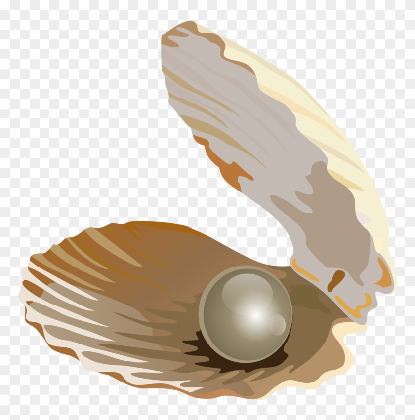 Pearl Shell Png - Illustration Clipart (#3208510) - PikPng