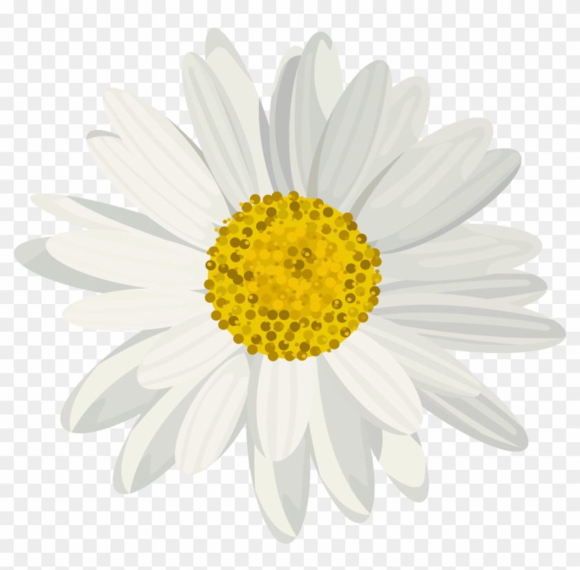 Daisy Png Clip Art Image Transparent Png (#3215062) - PikPng