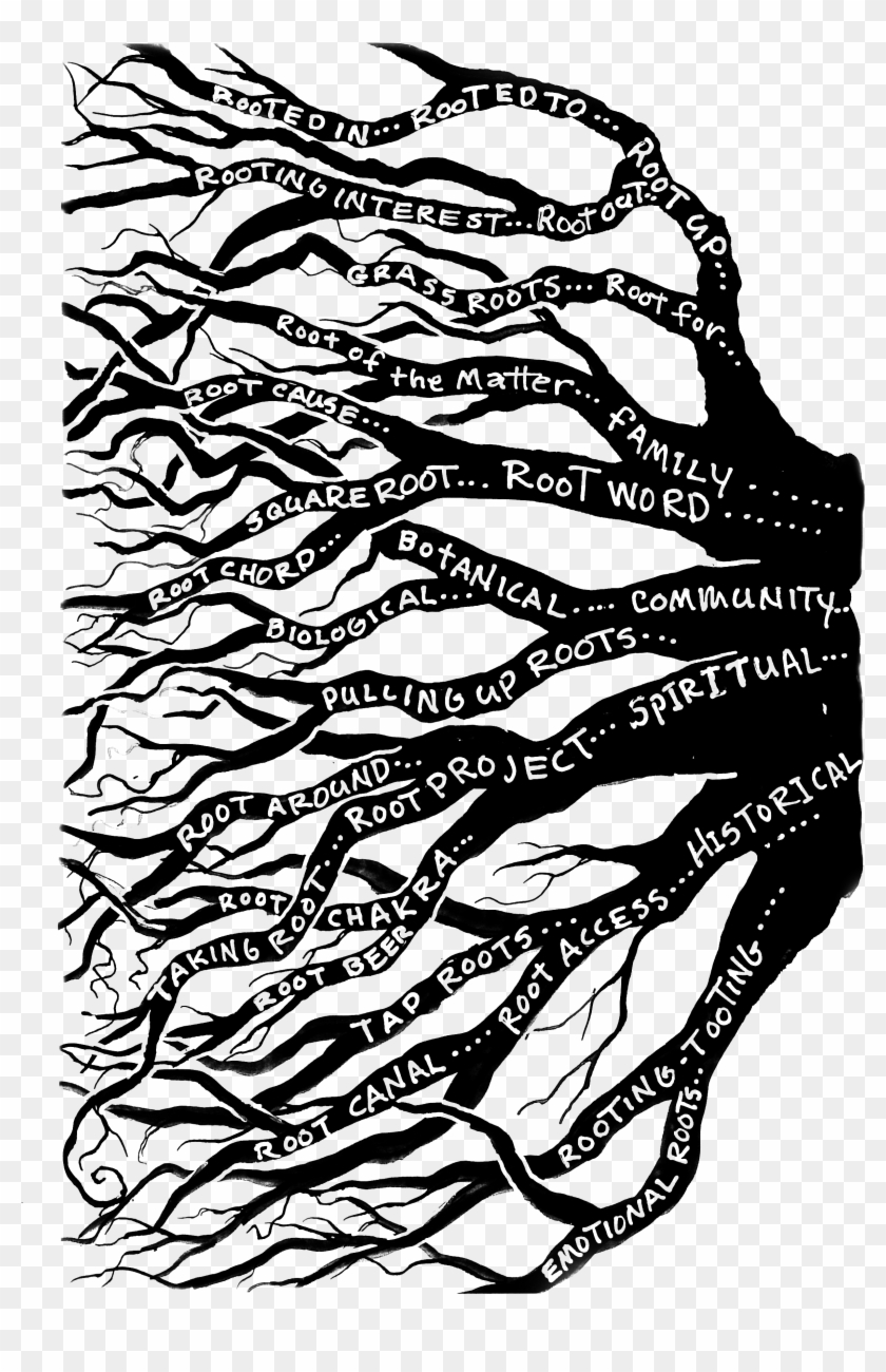 Drawn Roots Life - Root Art Clipart (#3254397) - PikPng