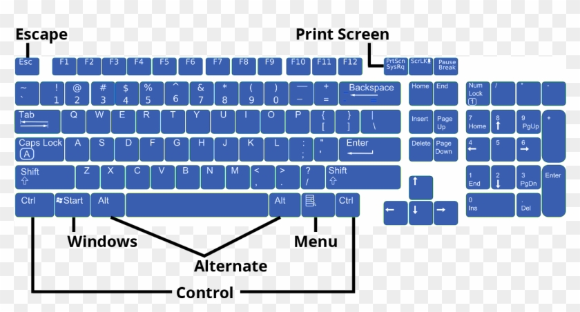 Keyboard - Labeled Diagram Of The Keyboard Clipart (#3264196) - PikPng