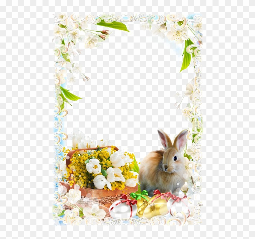Easter Frames Transparent Image - Transparent Easter Frame Clip Art ...