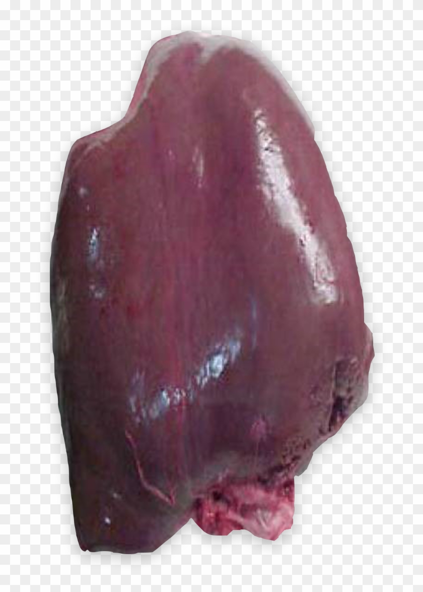 Venison Clipart (#3311852) - PikPng