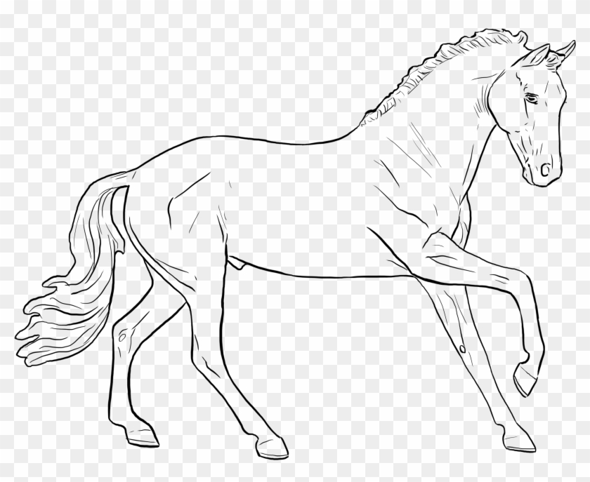 True North - Line Art Clipart (#3380443) - PikPng