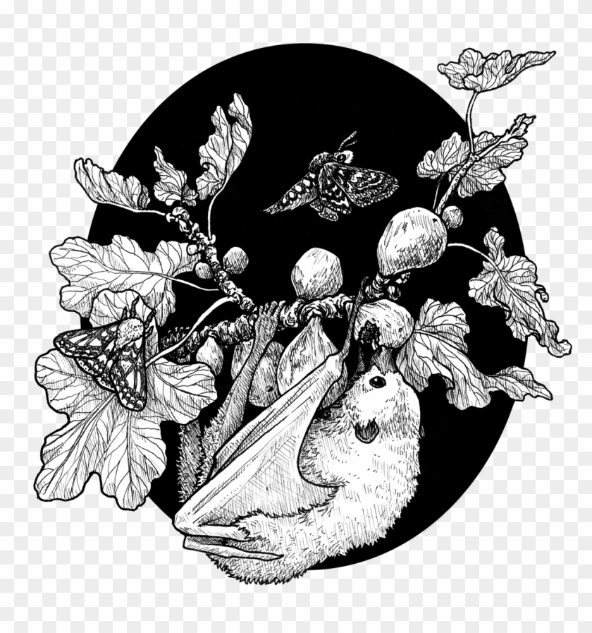 Fig Tree And The Fruit Bat , Png Download - Illustration Clipart ...